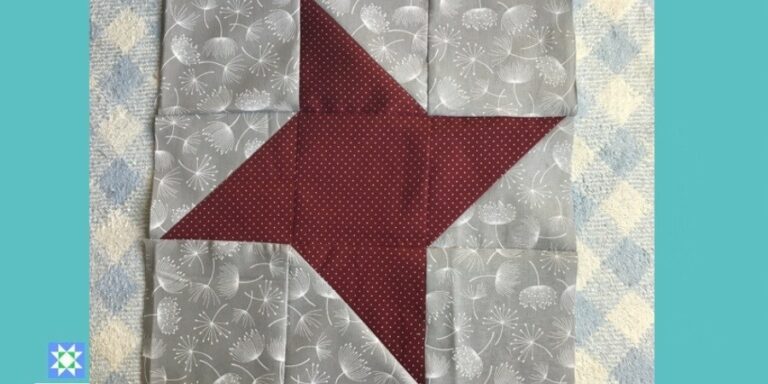 Bloque Patchwork Estrella De La Amistad - Ale Cose y cose